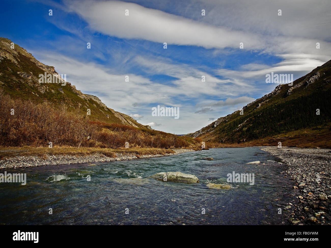 River bed in the Denali National Park Alaska, water from the Snow melt ...