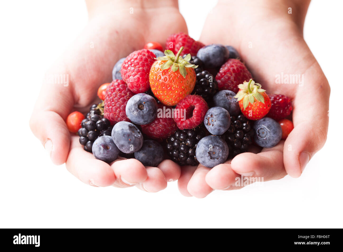 Berries in hands Stock Photo - Alamy