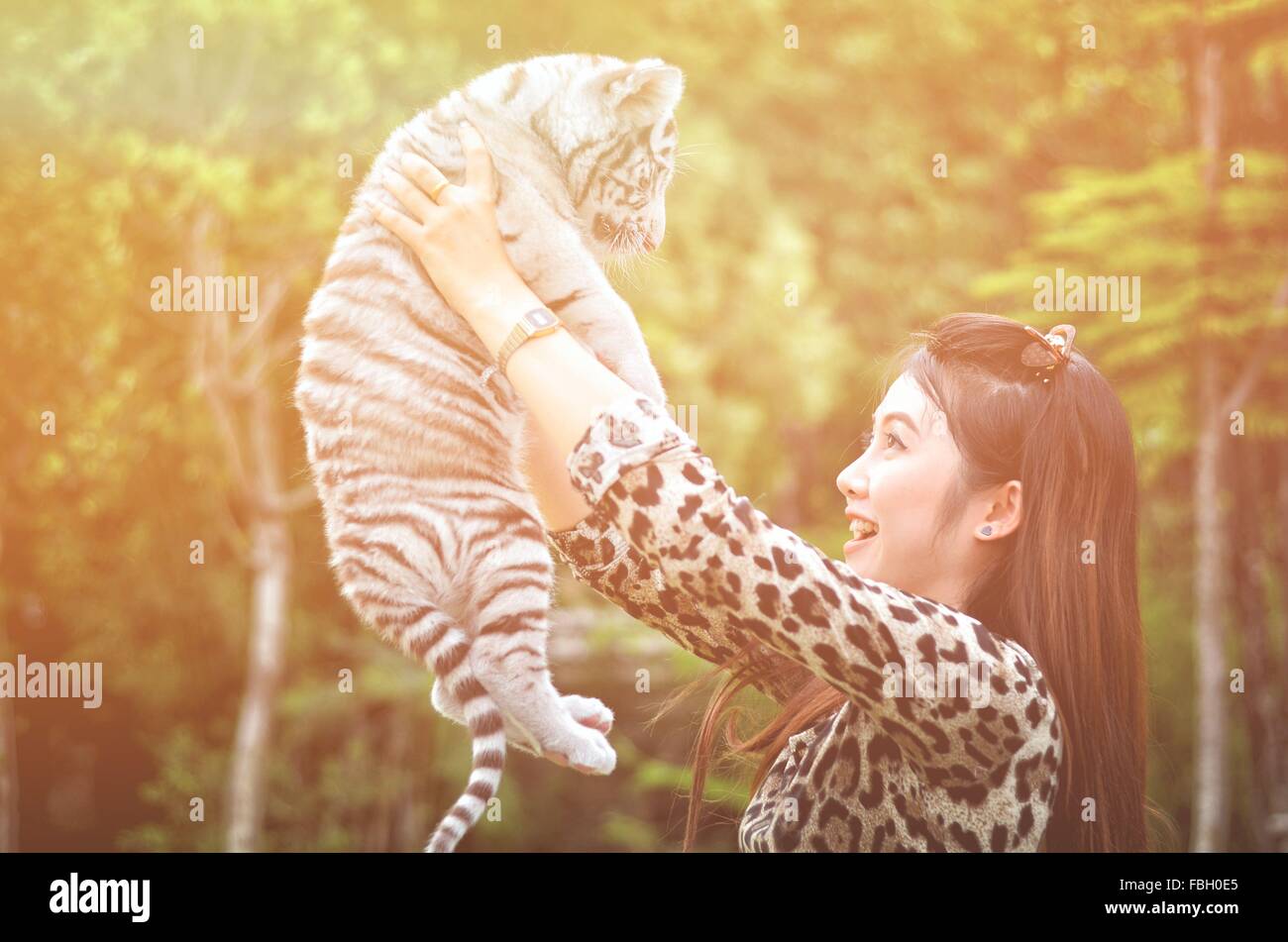pretty women hold baby white bengal tiger with flare light Stock Photo ...