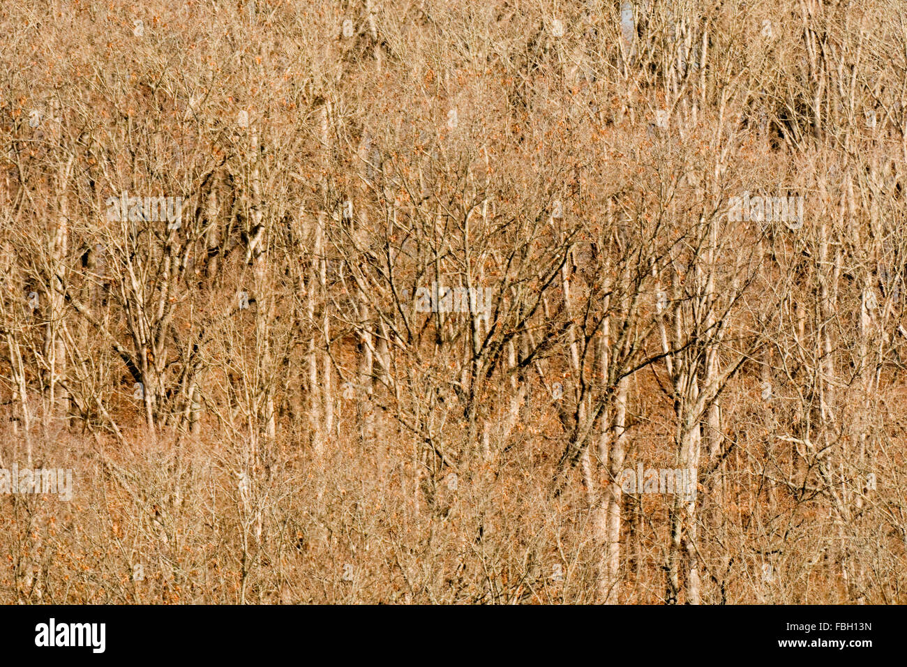 Barren hillside hi-res stock photography and images - Alamy