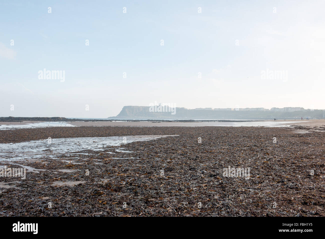 Beautiful and iconic North Bay Beach in coastal town of Scarborough ...