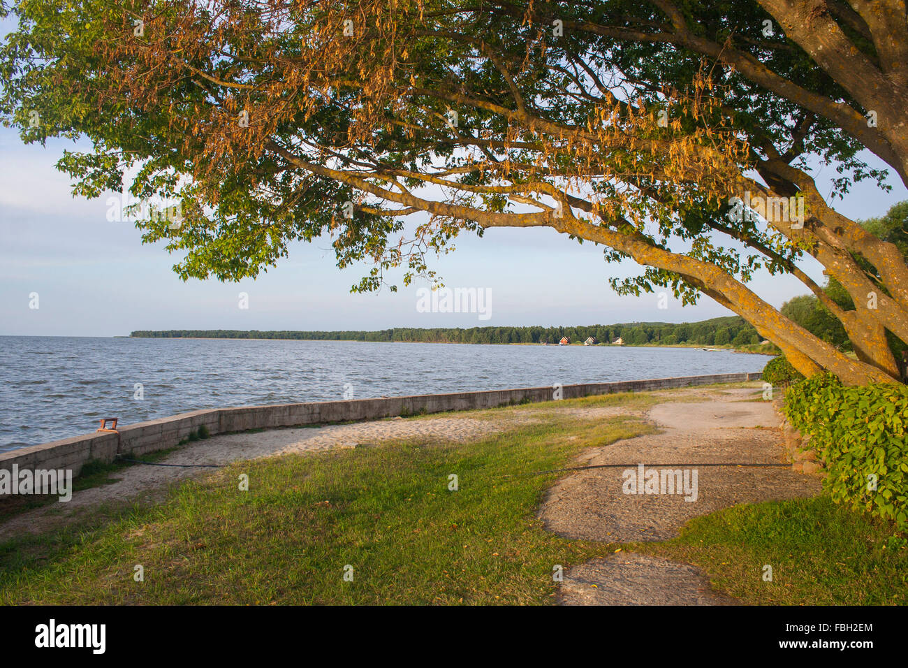 Preila hi-res stock photography and images - Alamy