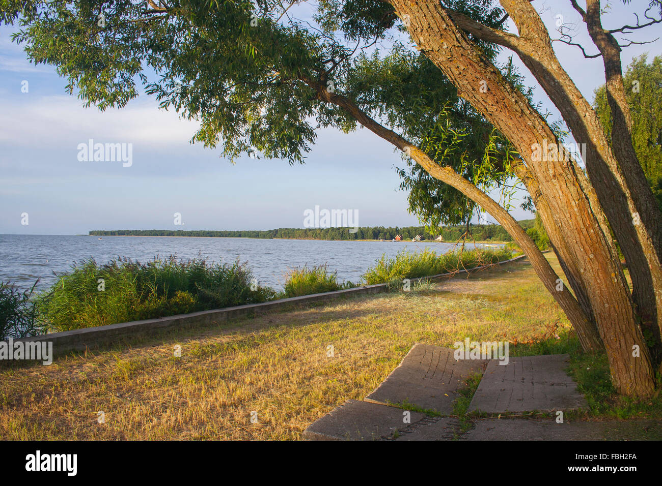 Preila litauen hi-res stock photography and images - Alamy