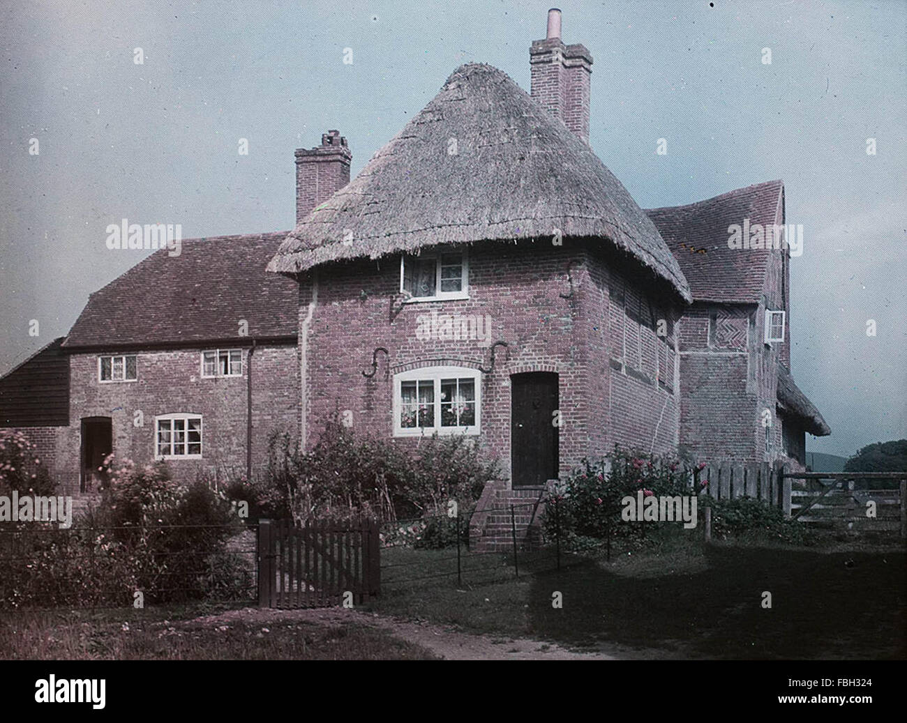 Paget colour hi-res stock photography and images - Alamy