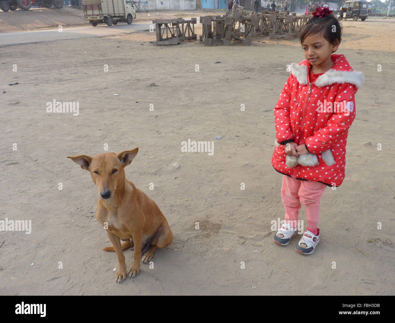 Stray dog hi-res stock photography and images - Alamy