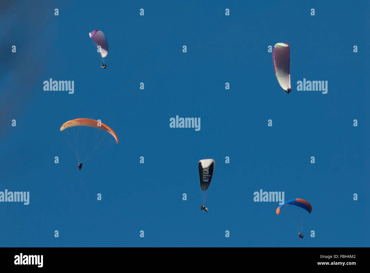 Group paragliders in blue hi-res stock photography and images - Alamy