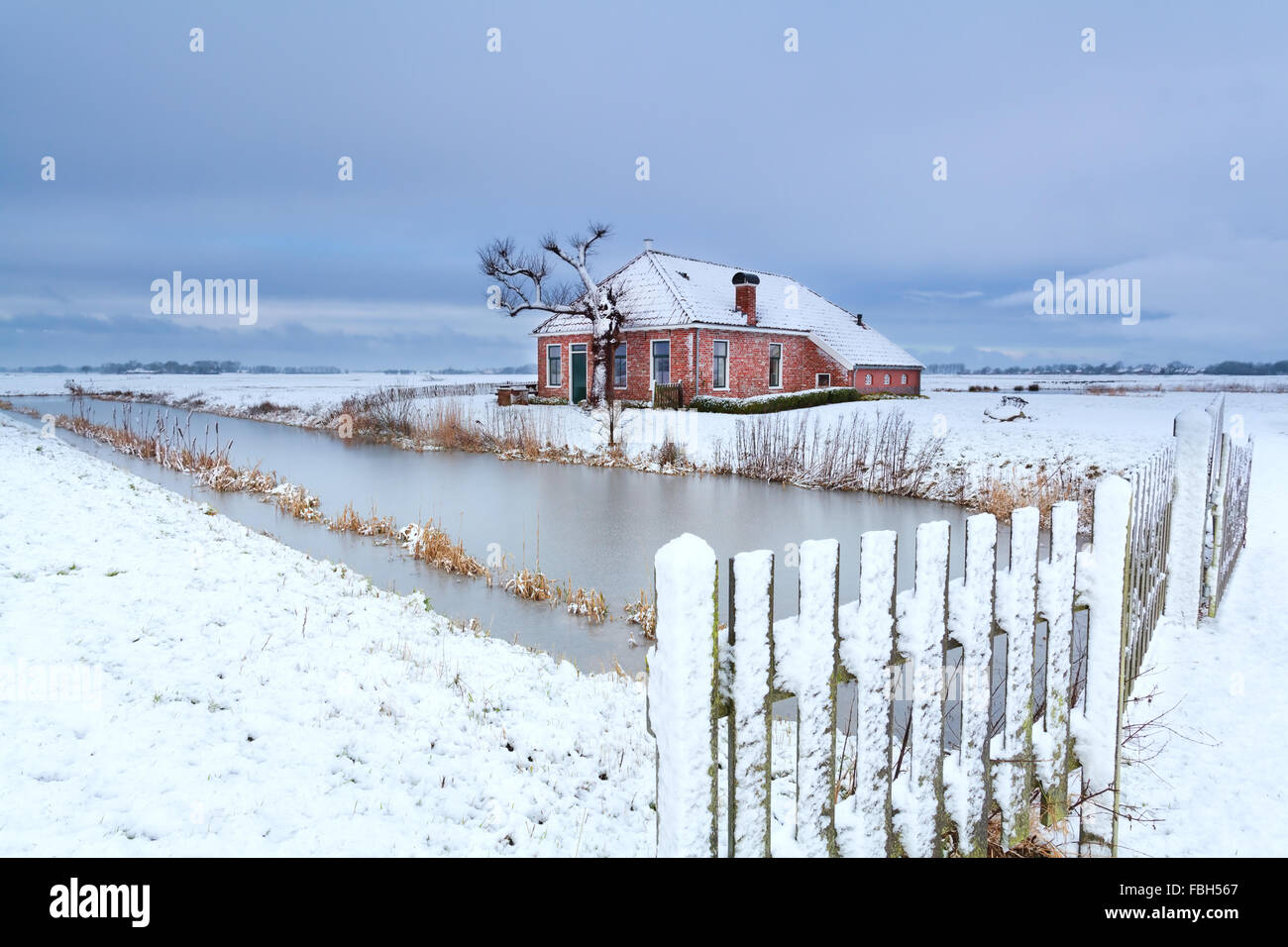 Dutch farmhouse in snow winter, Groningen, Netherlands Stock Photo - Alamy