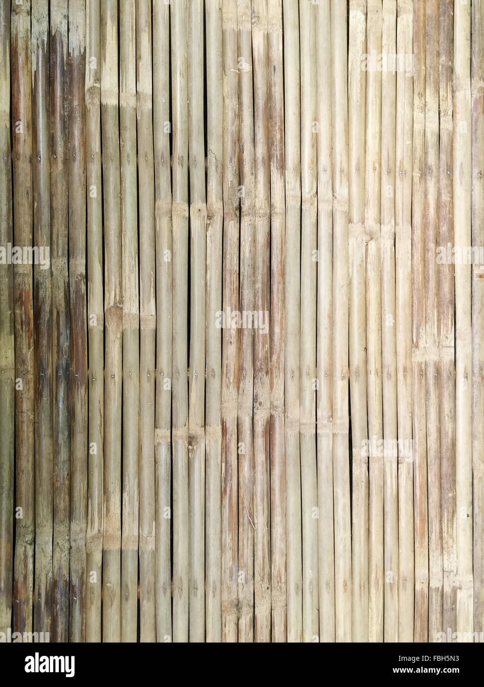 Bamboo line pattern on the top of natural table Stock Photo - Alamy