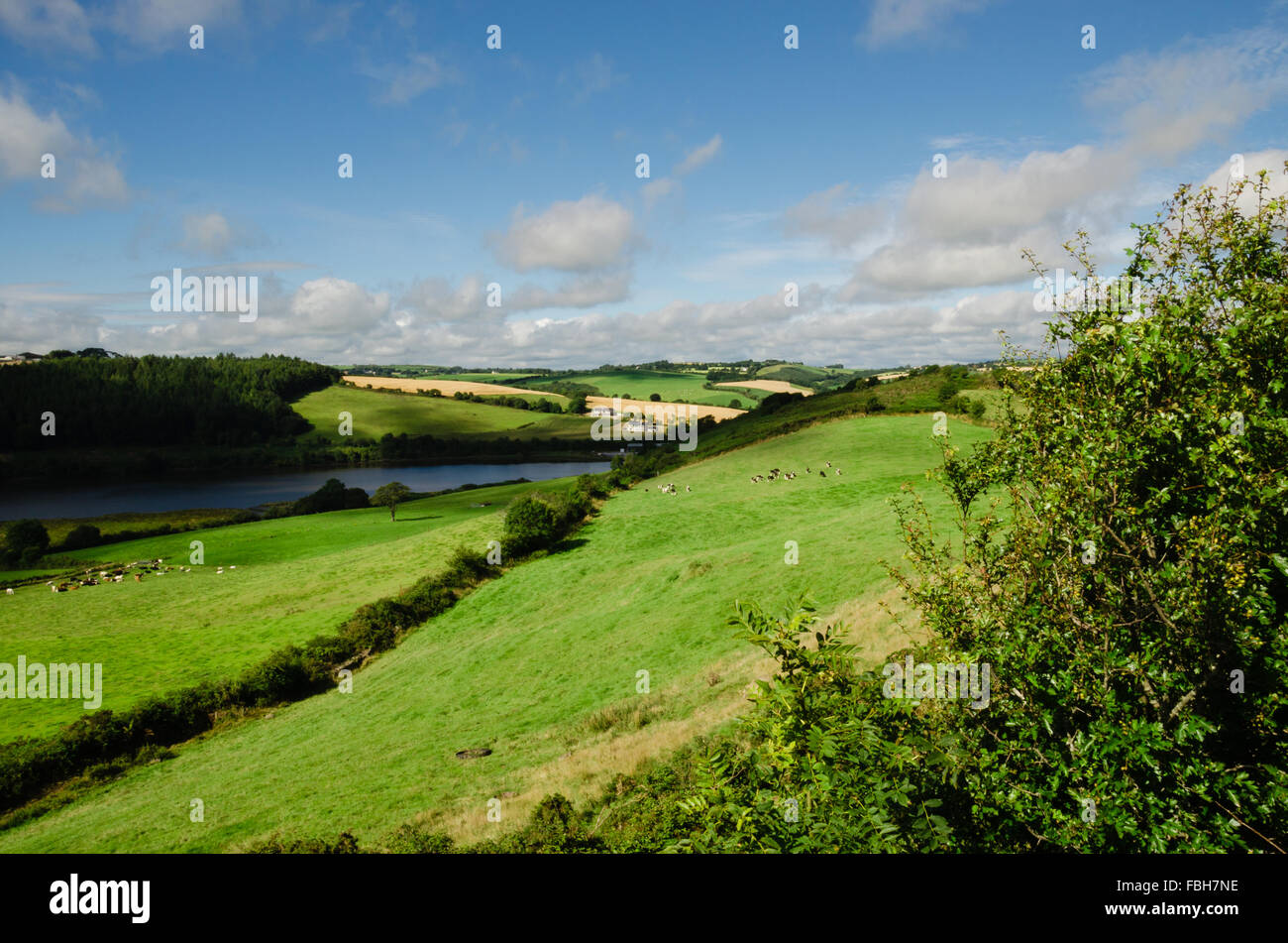 Irish countryside with river Stock Photo - Alamy