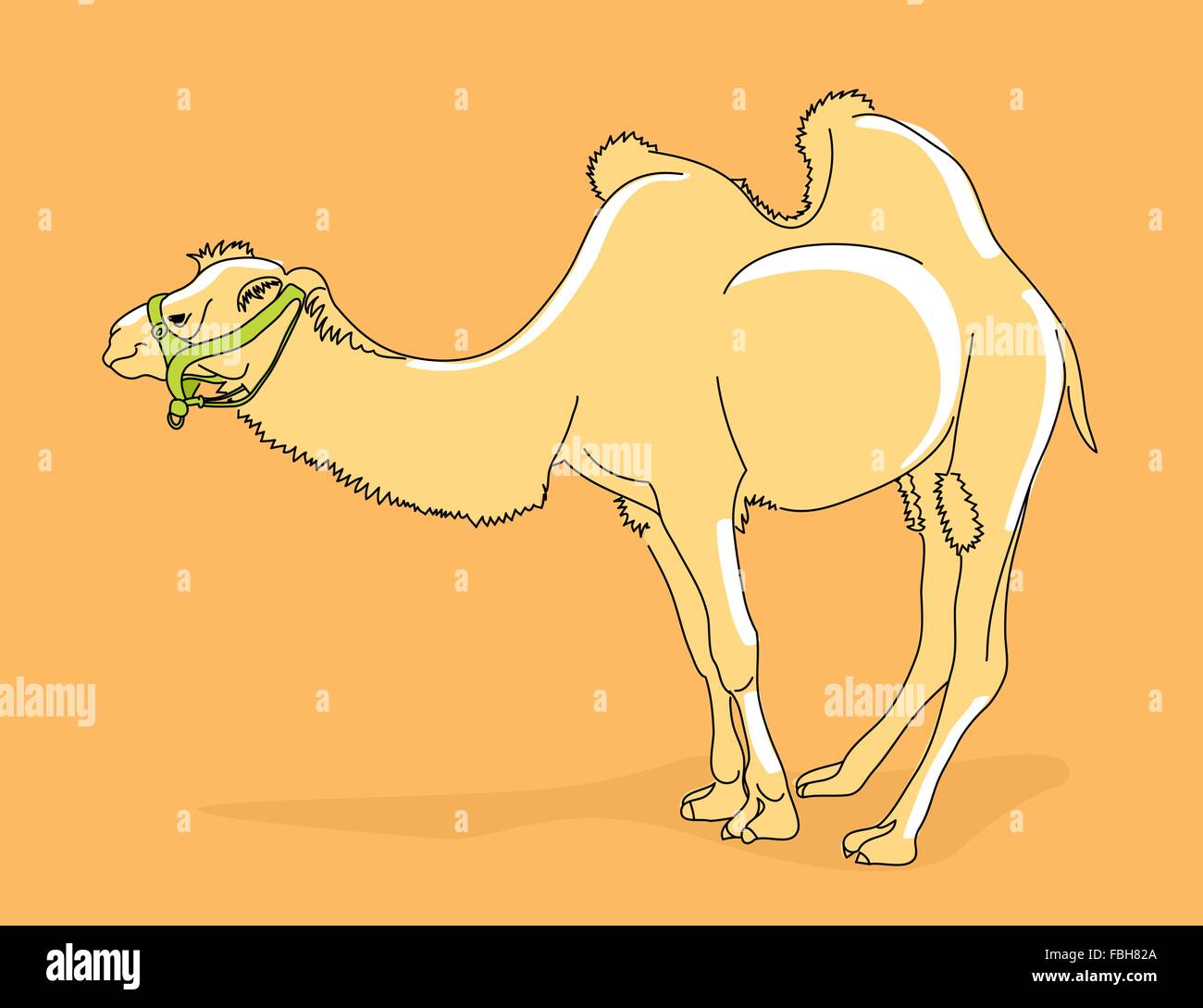 Camel hand draw illustration hi-res stock photography and images - Alamy