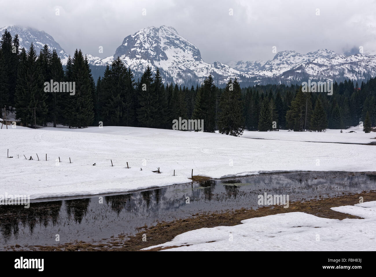 Snowy landscape with mountains and stream near Zabljak in Montenegro ...