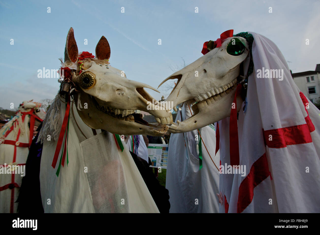 Horse skull england hi-res stock photography and images - Alamy