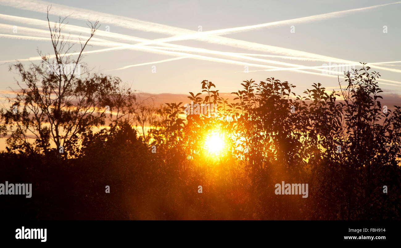 Sun, morning, landscape, sunrise Stock Photo - Alamy