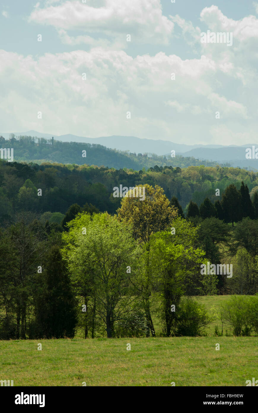 Spring, Green Landscape & Buds, East Tennessee Stock Photo - Alamy