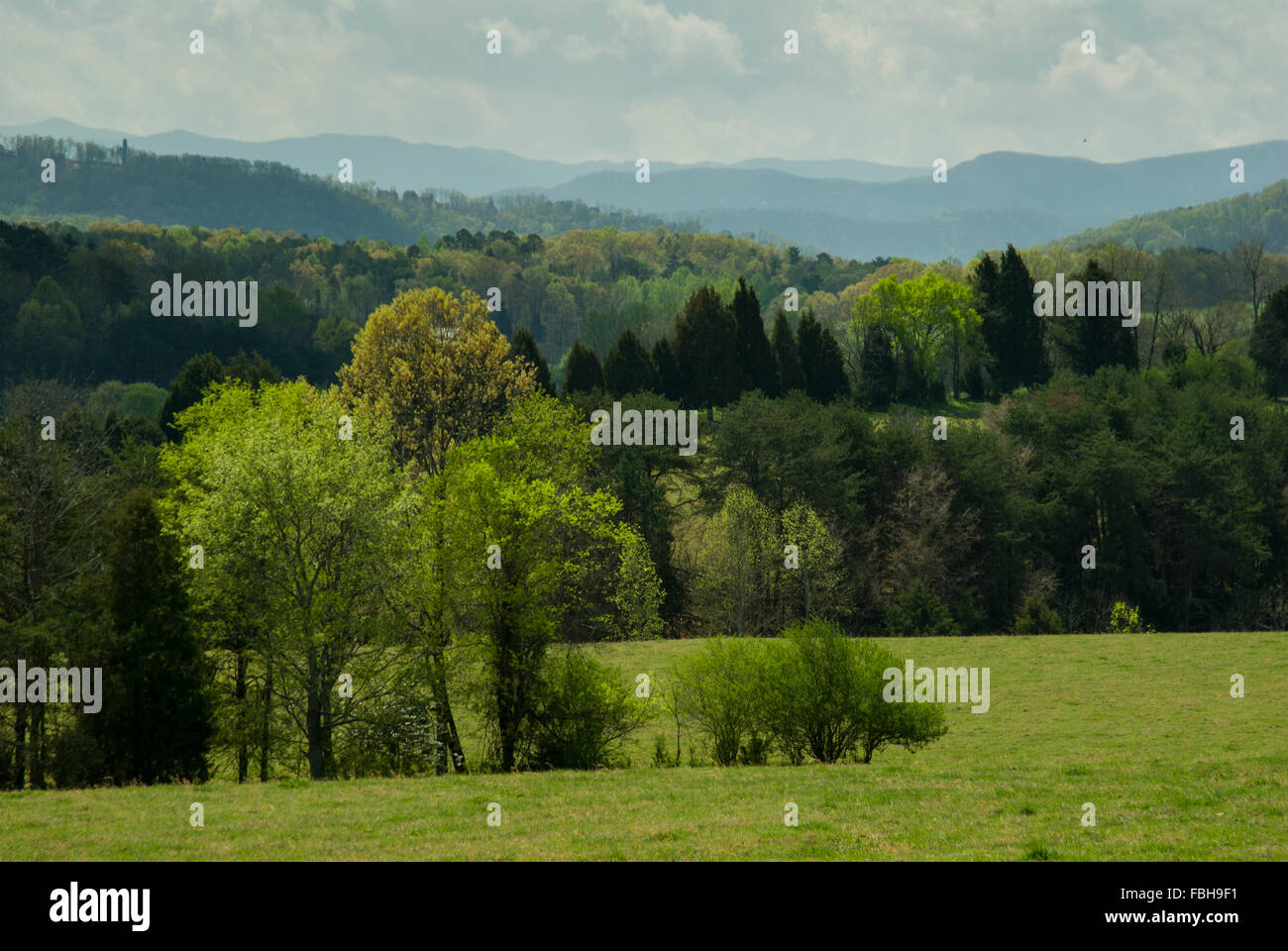 Spring, Green Landscape & Buds, East Tennessee Stock Photo - Alamy