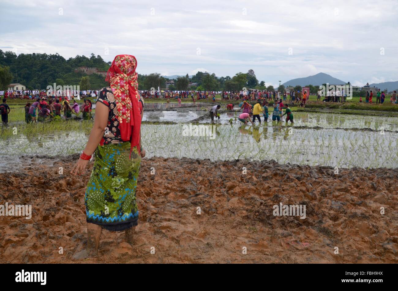 rice planting festival Stock Photo - Alamy