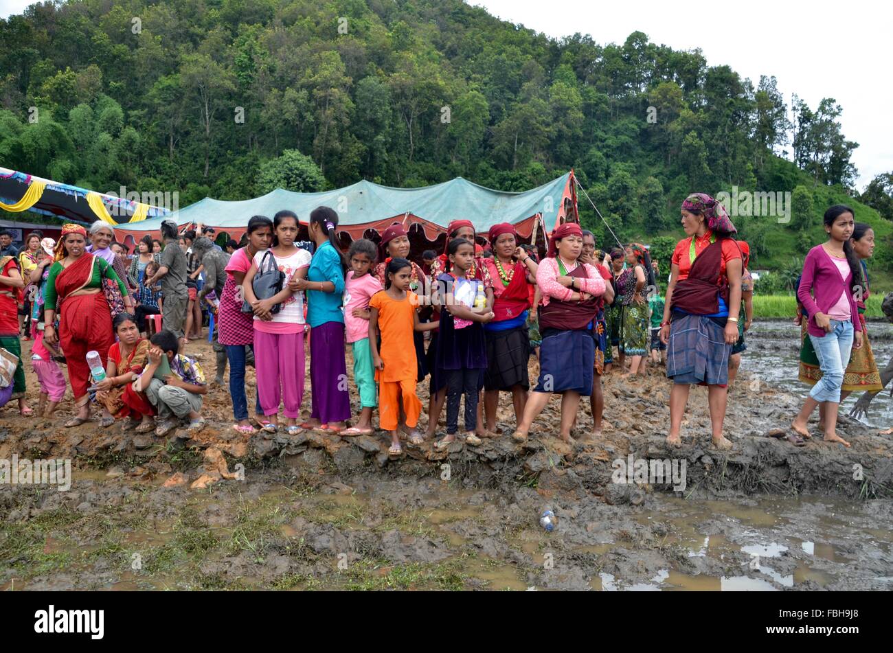 rice planting festival Stock Photo - Alamy