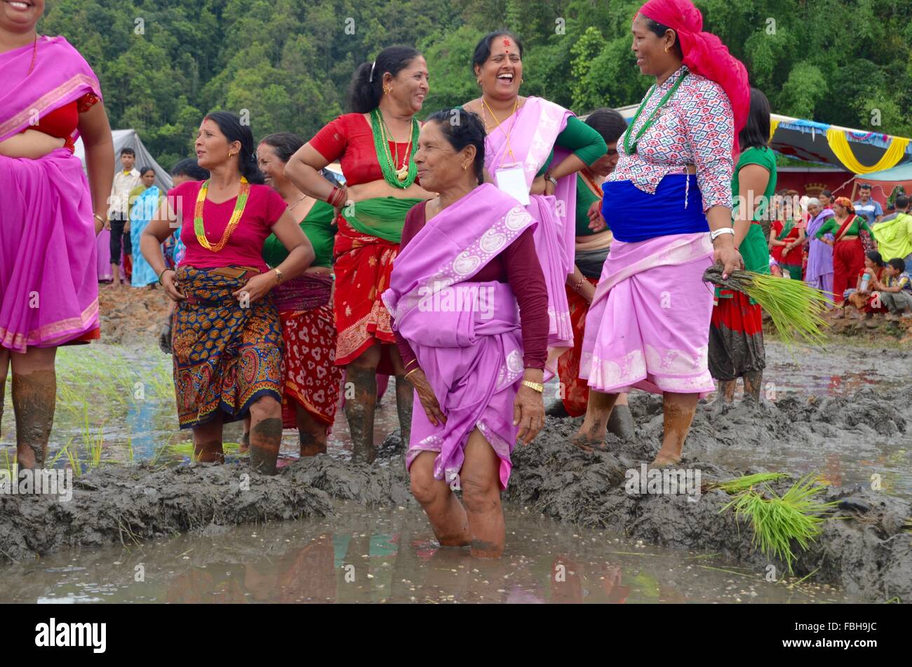 rice planting festival Stock Photo - Alamy