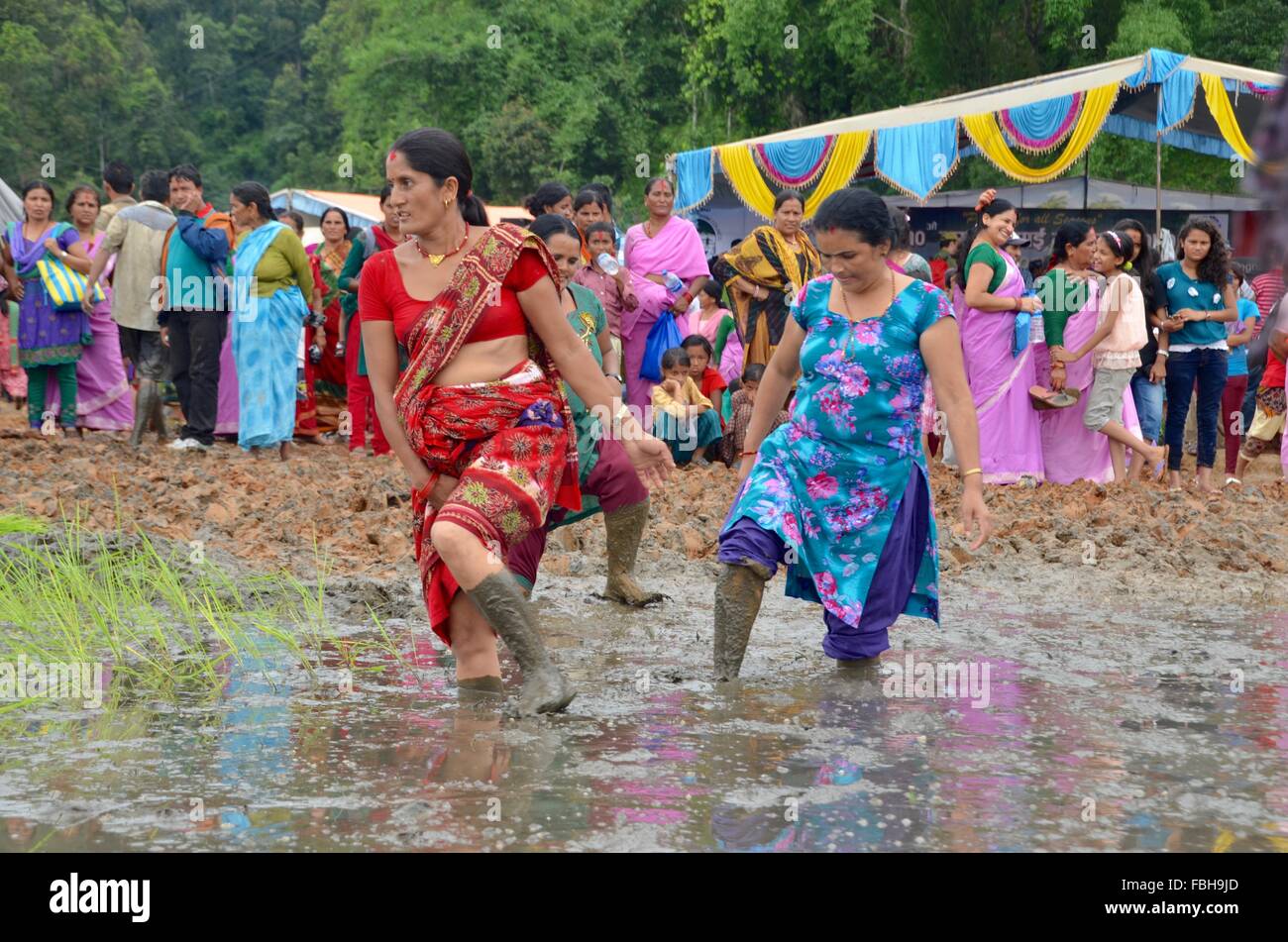 Rice planting festival Nepal Stock Photo - Alamy
