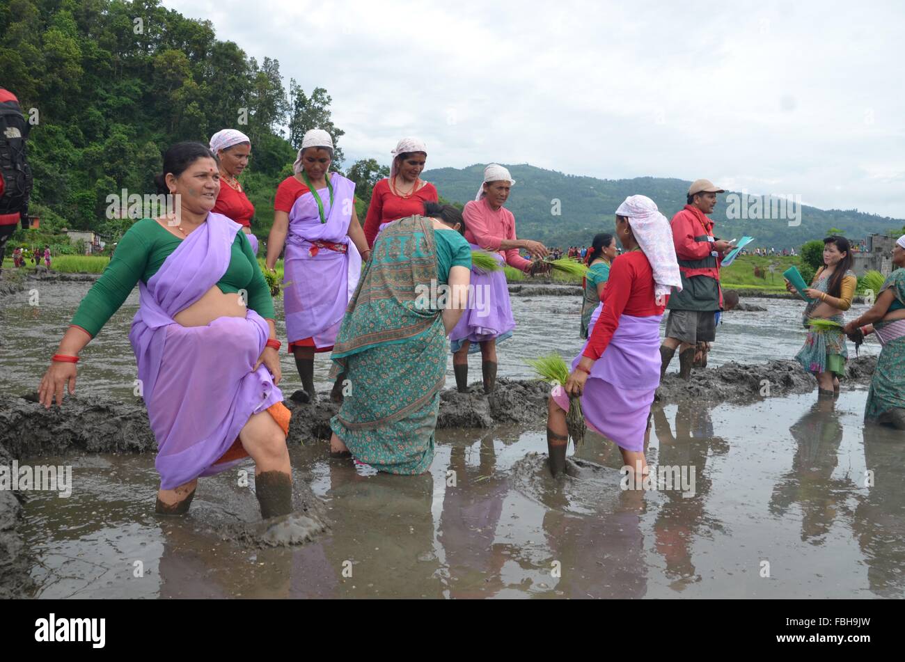 Rice planting festival Stock Photo - Alamy