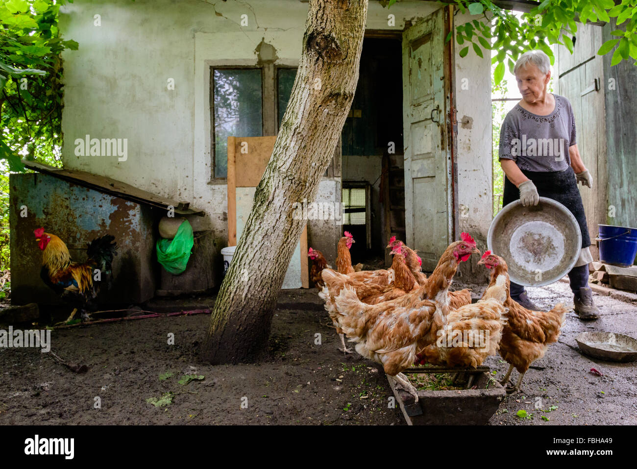 Ukraine woman agriculture hi-res stock photography and images - Alamy
