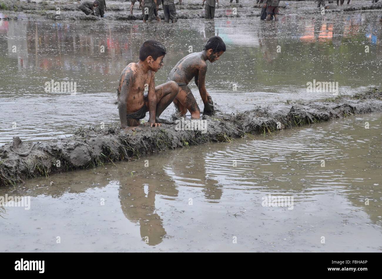 Kids rice planting festival Stock Photo - Alamy