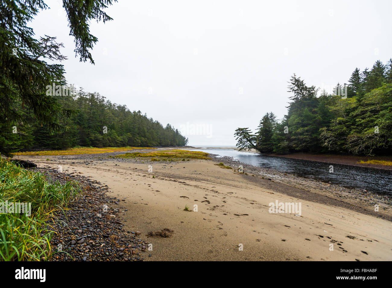 Coastal ocean views Haida Gwaii British Columbia Canada Stock Photo - Alamy