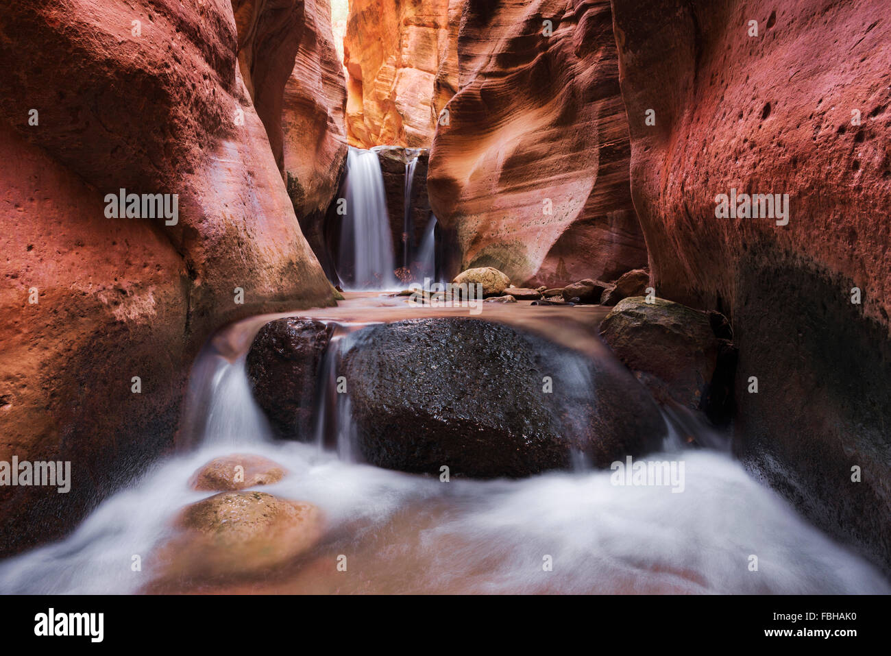 Concentric structure hi-res stock photography and images - Alamy
