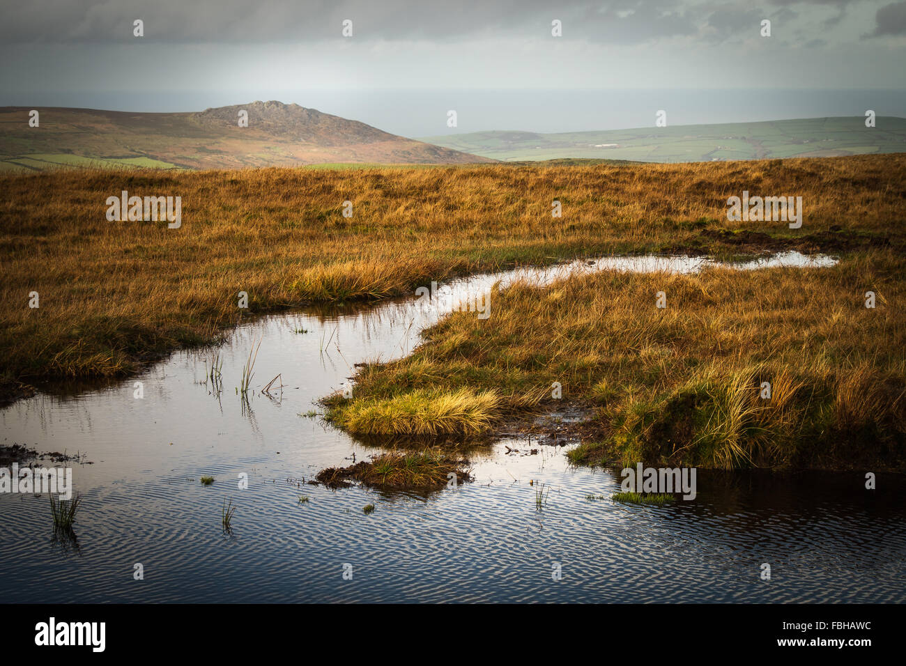 Preseli Mountains in Pembrokeshire Wales, U.K. View over moor and ...