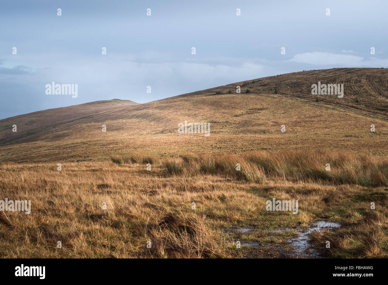 Preseli mountains hi-res stock photography and images - Alamy