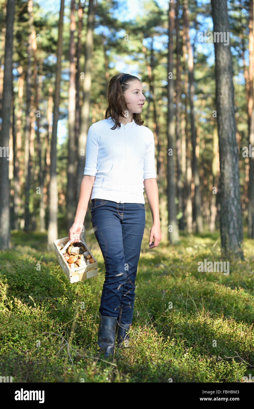 Girl, mushroom, collecting, head-on, forest Stock Photo - Alamy
