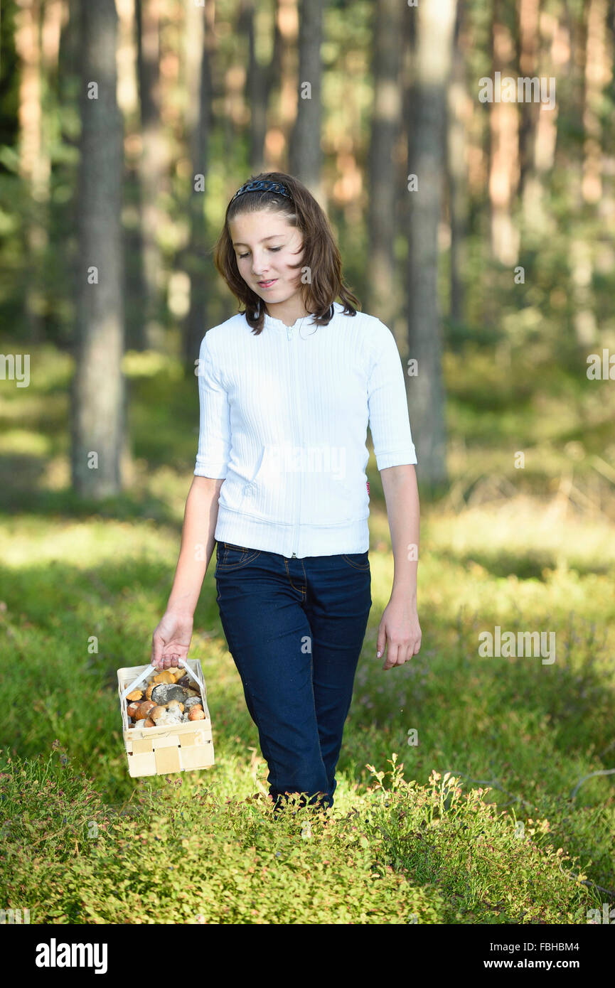 Girl, mushroom, collecting, head-on, forest Stock Photo - Alamy