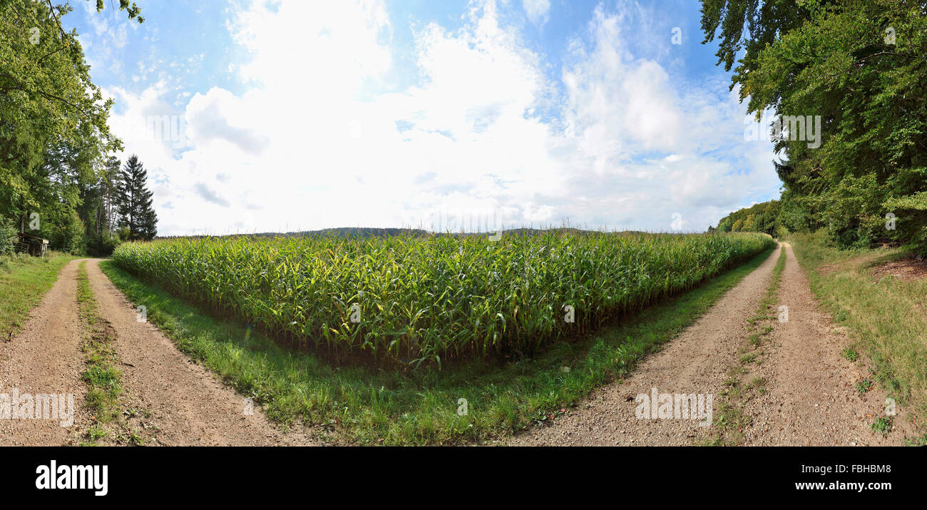 Sunny lane hi-res stock photography and images - Alamy