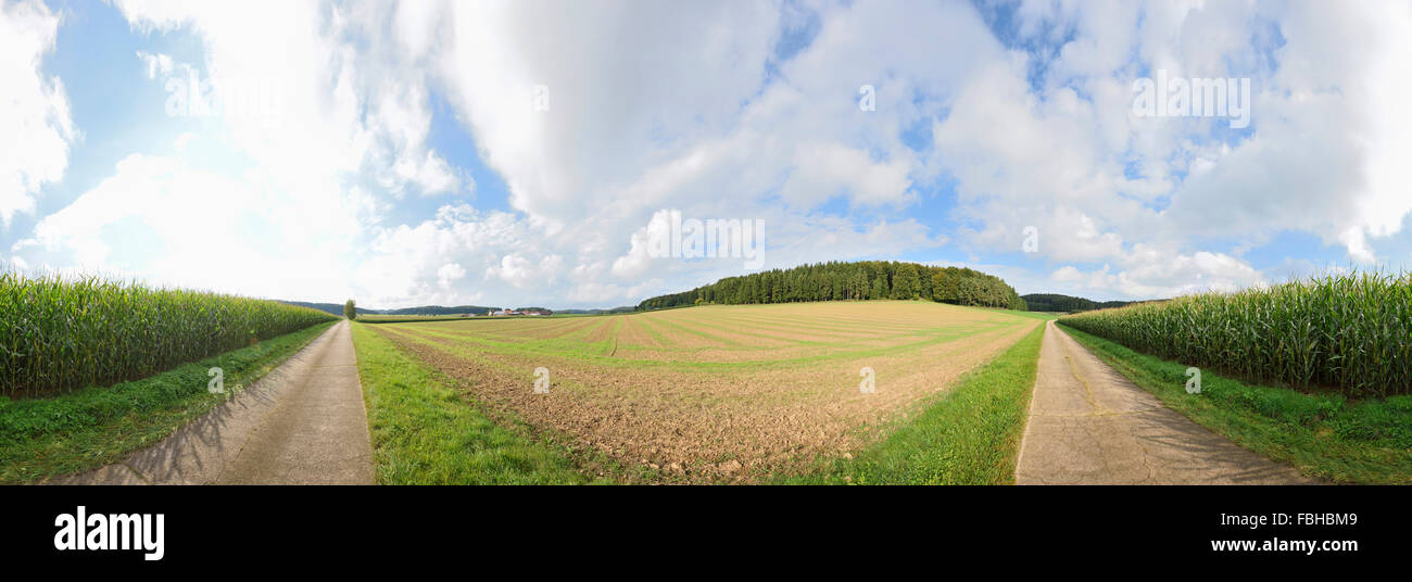 Panoramic scenery, country lane, sunny Stock Photo - Alamy