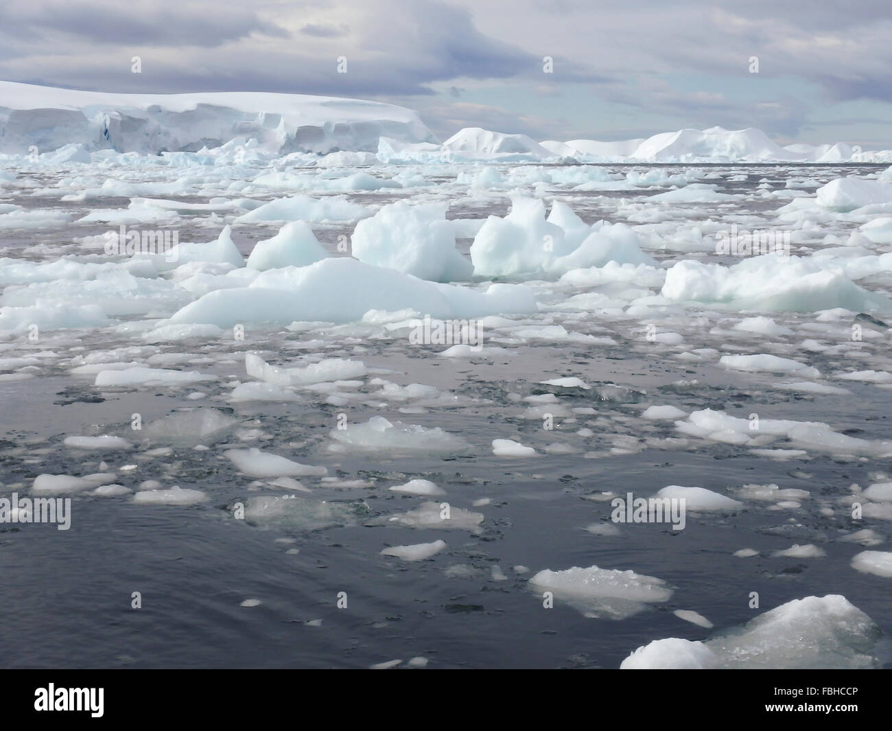 Ice field of bergie bits and growlers in Antarctica Stock Photo - Alamy