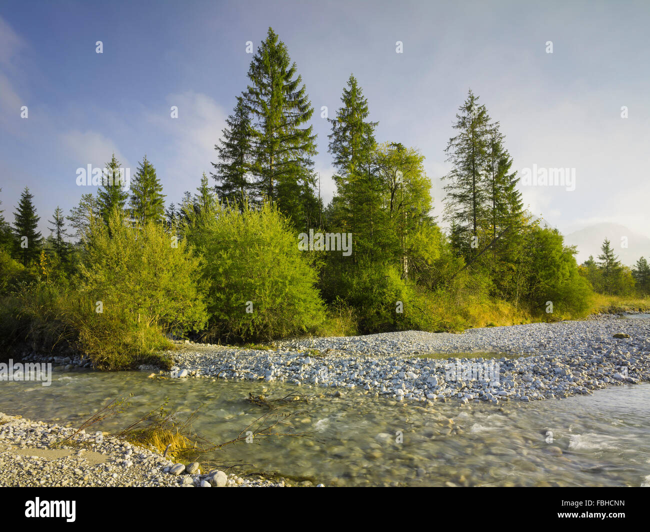Shore of the Isar, Isar valley, Upper Bavaria, Bavaria, Germany Stock ...
