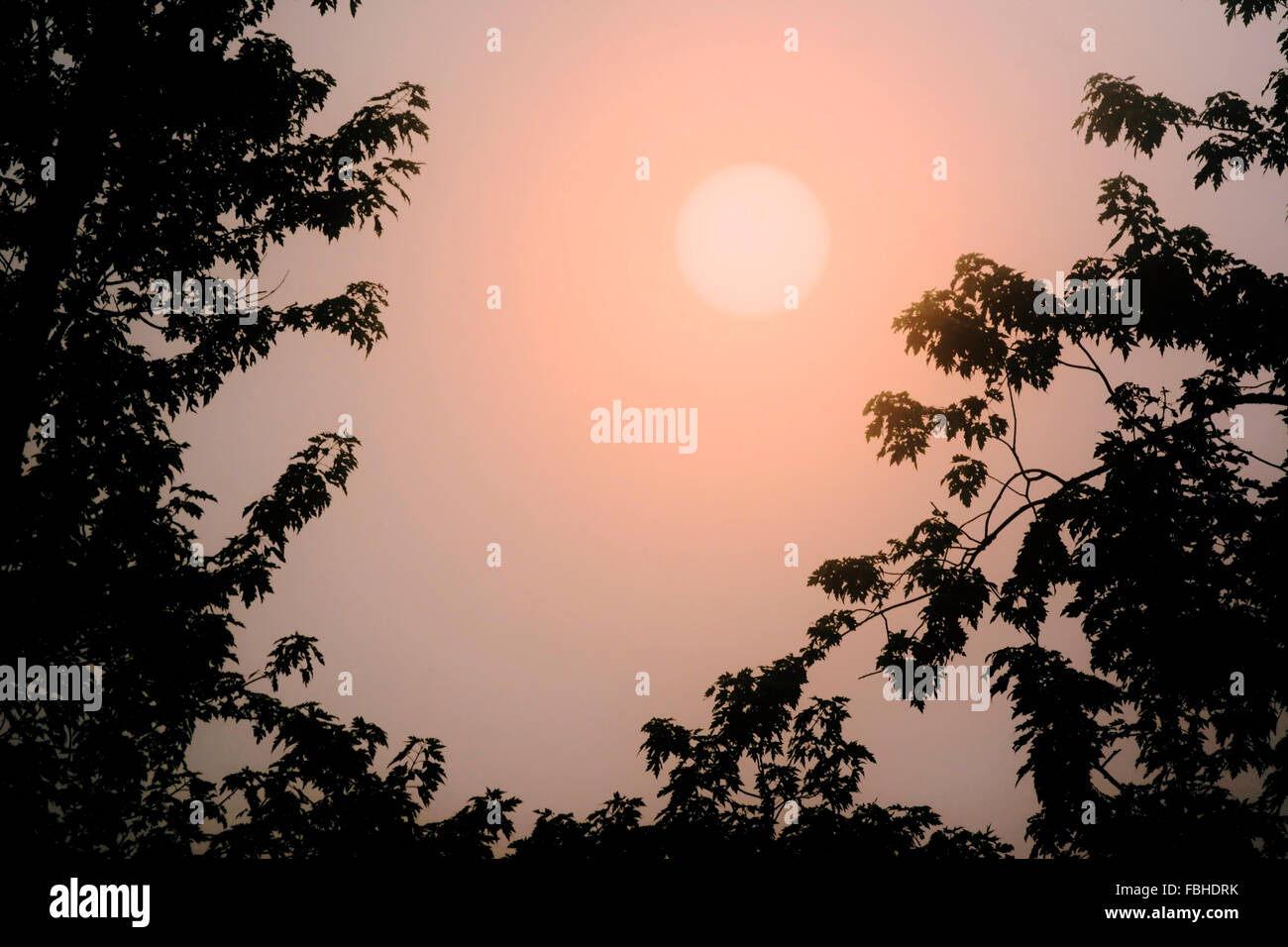 Mid sun hi-res stock photography and images - Alamy