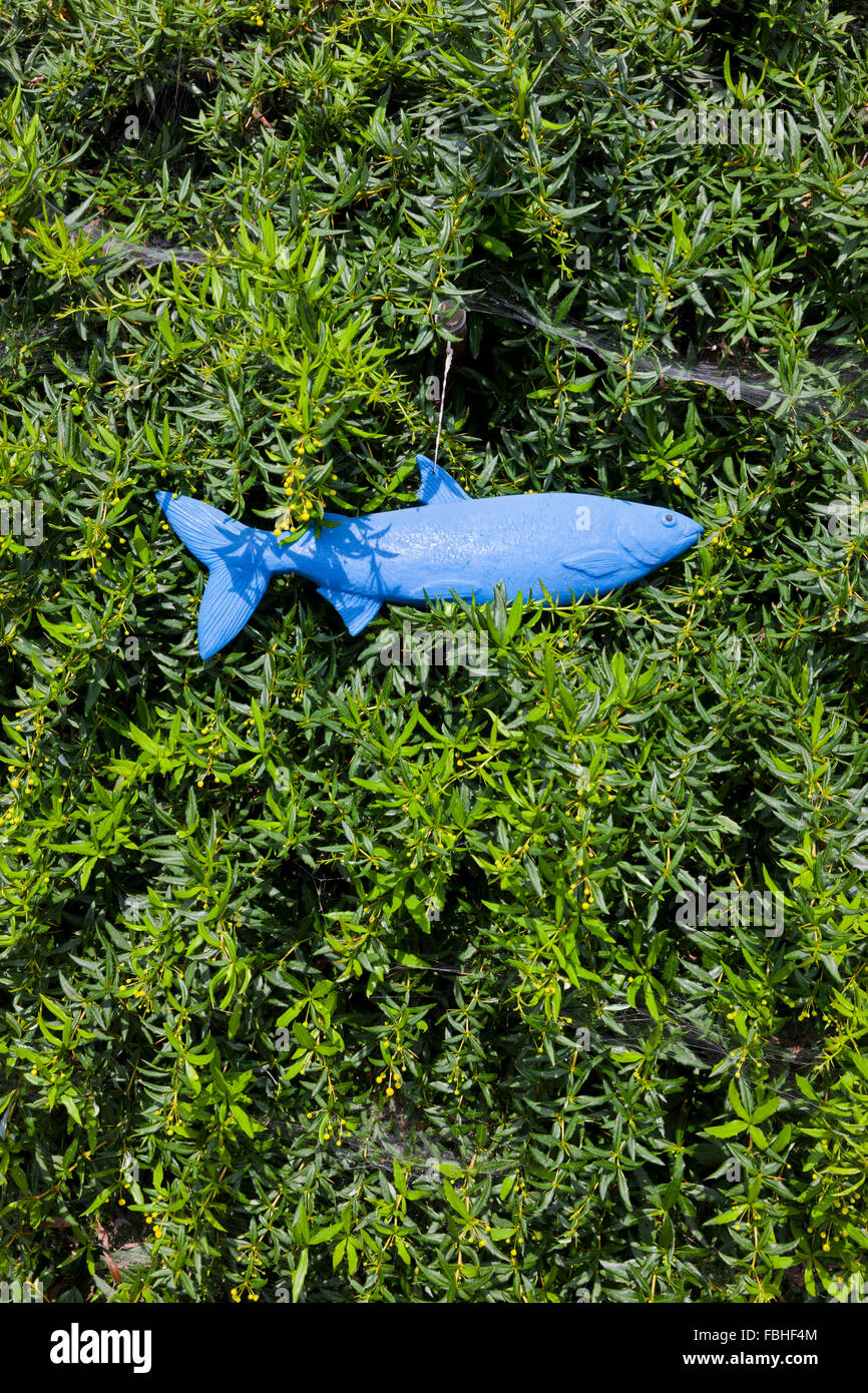 Plastic fish in bush Stock Photo - Alamy