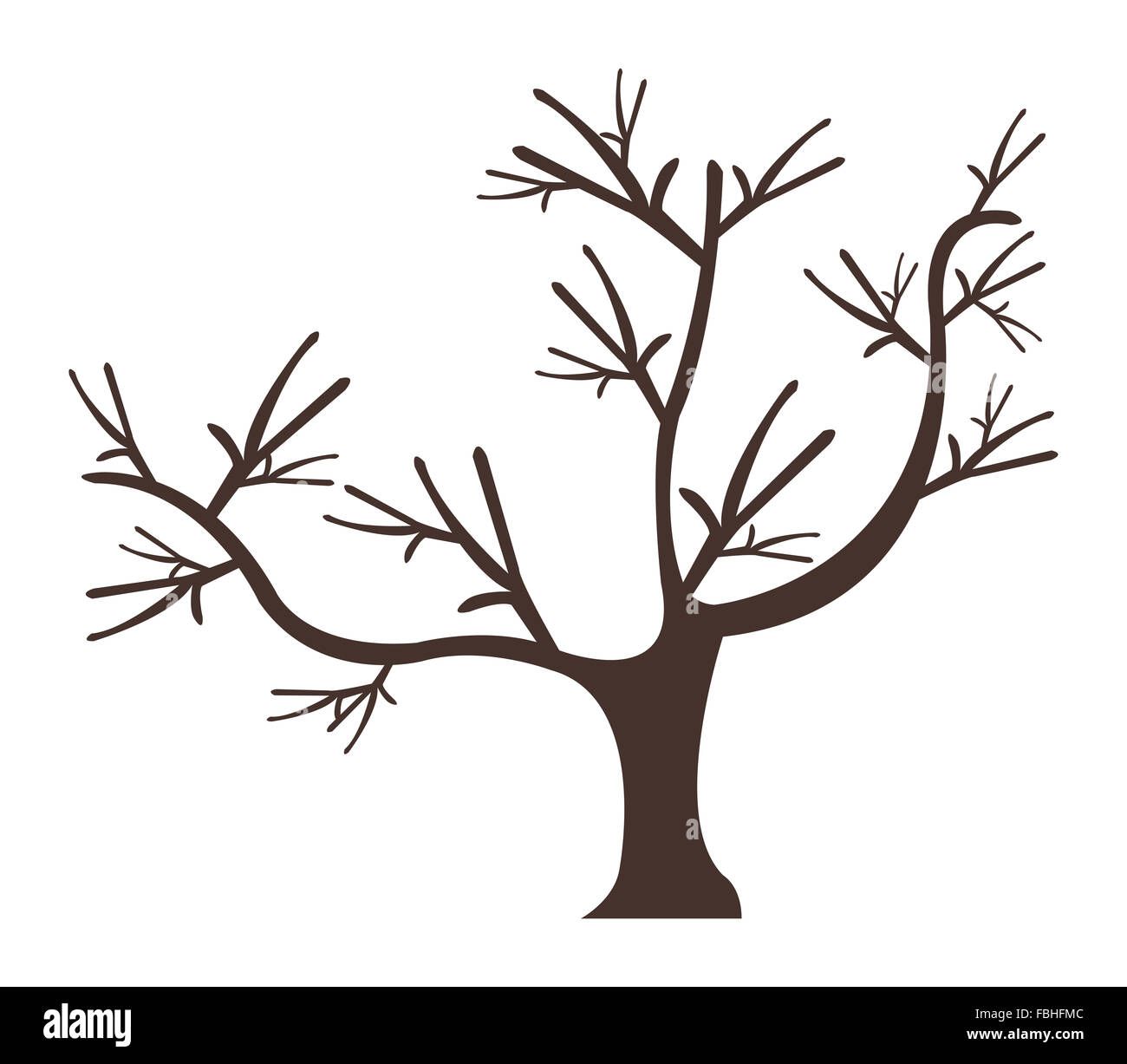 dry tree on white background Stock Photo - Alamy