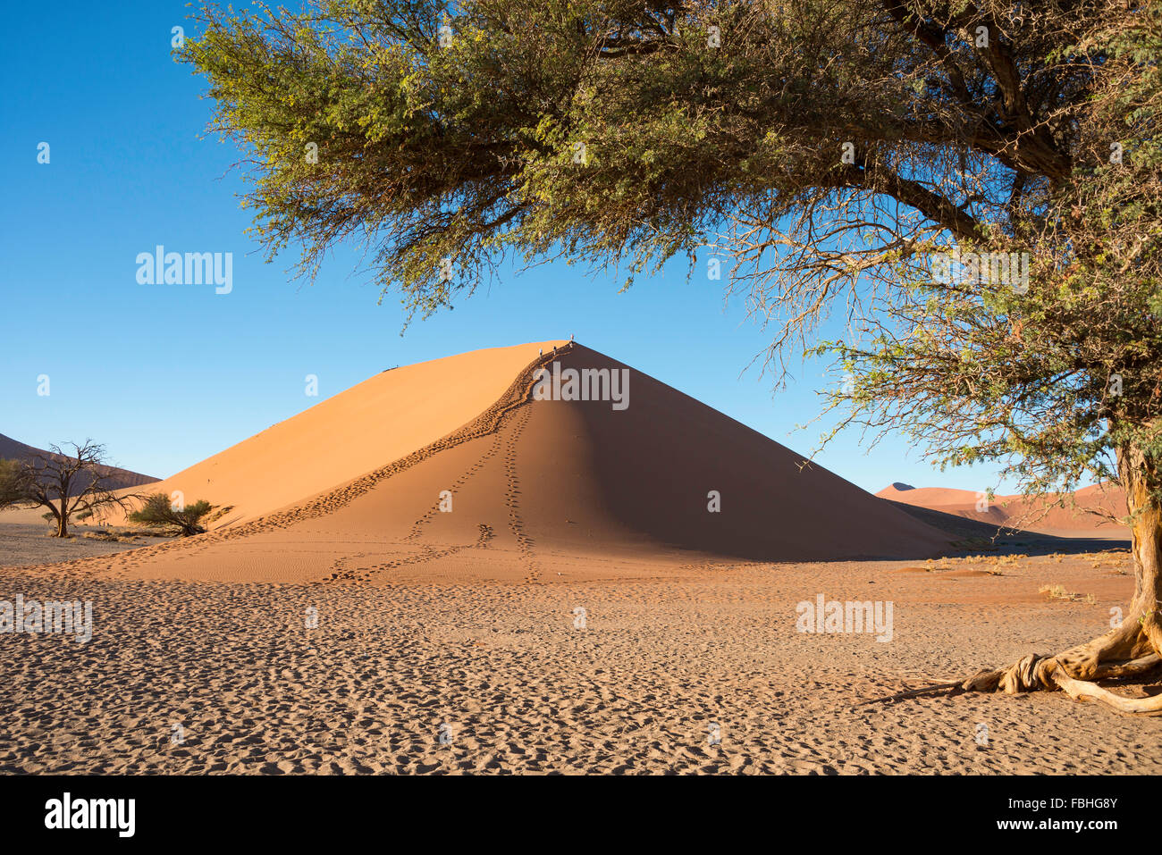 Sossusvlei namibia southern africa hi-res stock photography and images ...