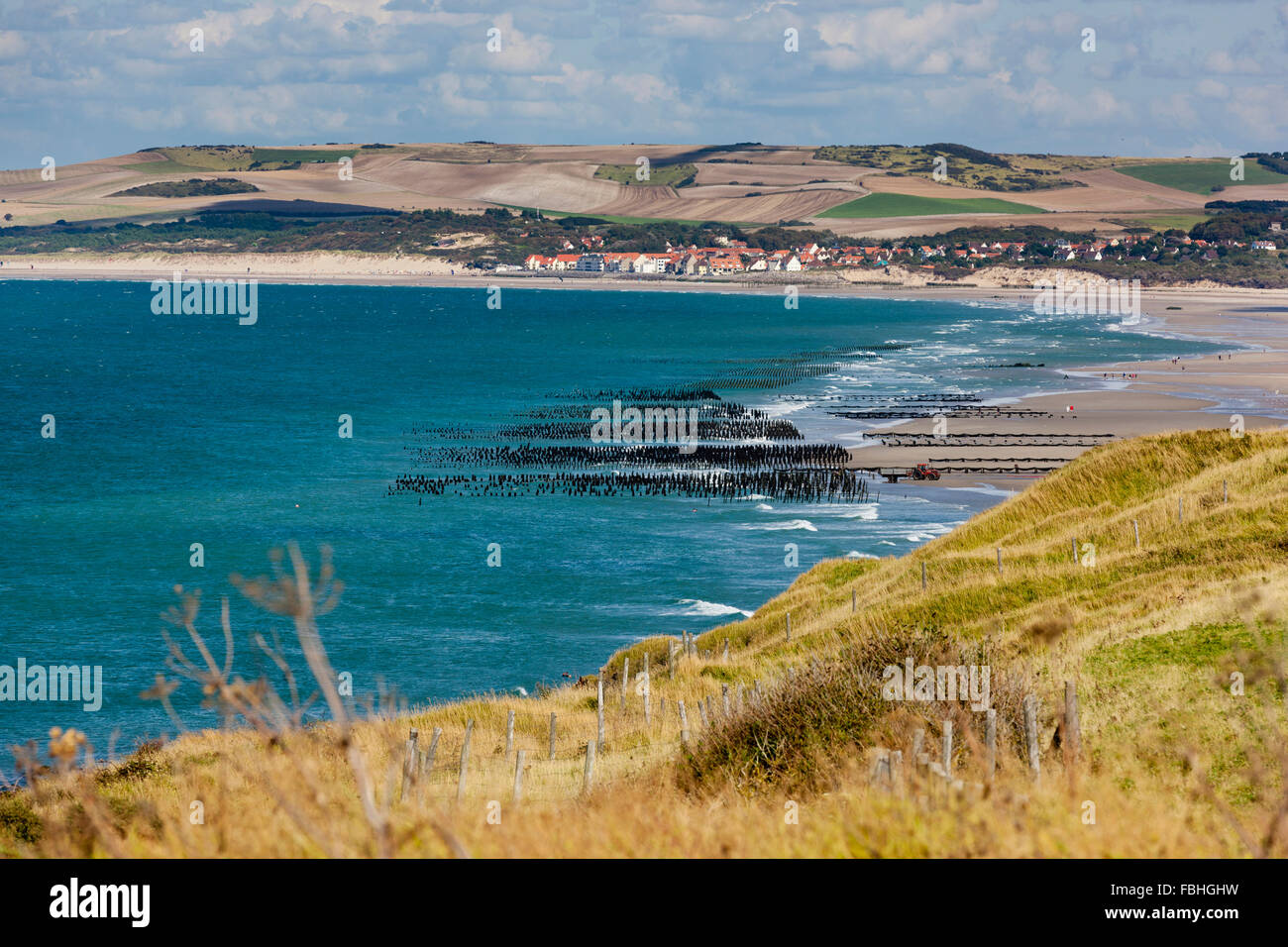Blue Mussel Beds High Resolution Stock Photography and Images - Alamy