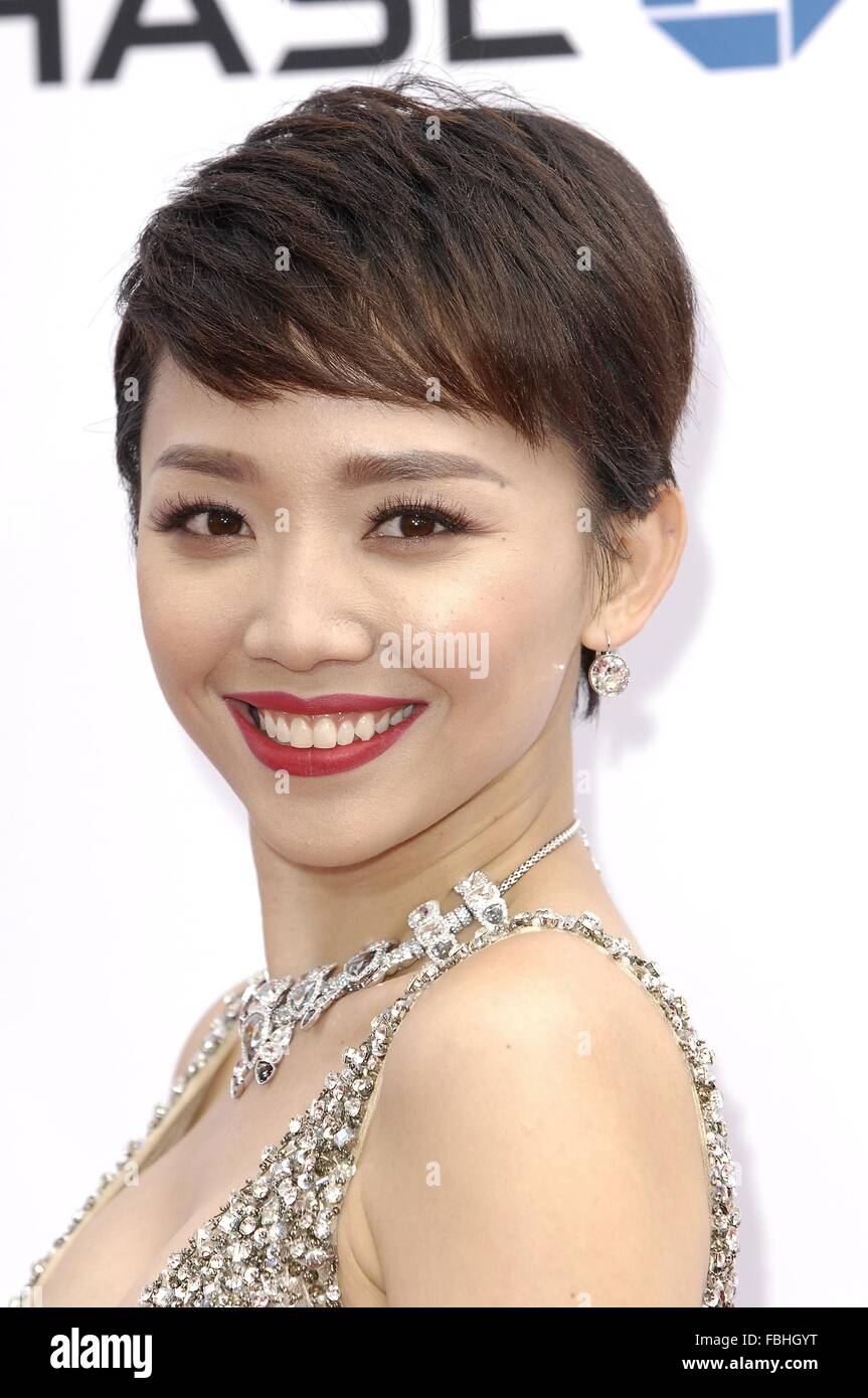 Los Angeles, CA, USA. 16th Jan, 2016. Toc Tien at arrivals for KUNG FU ...