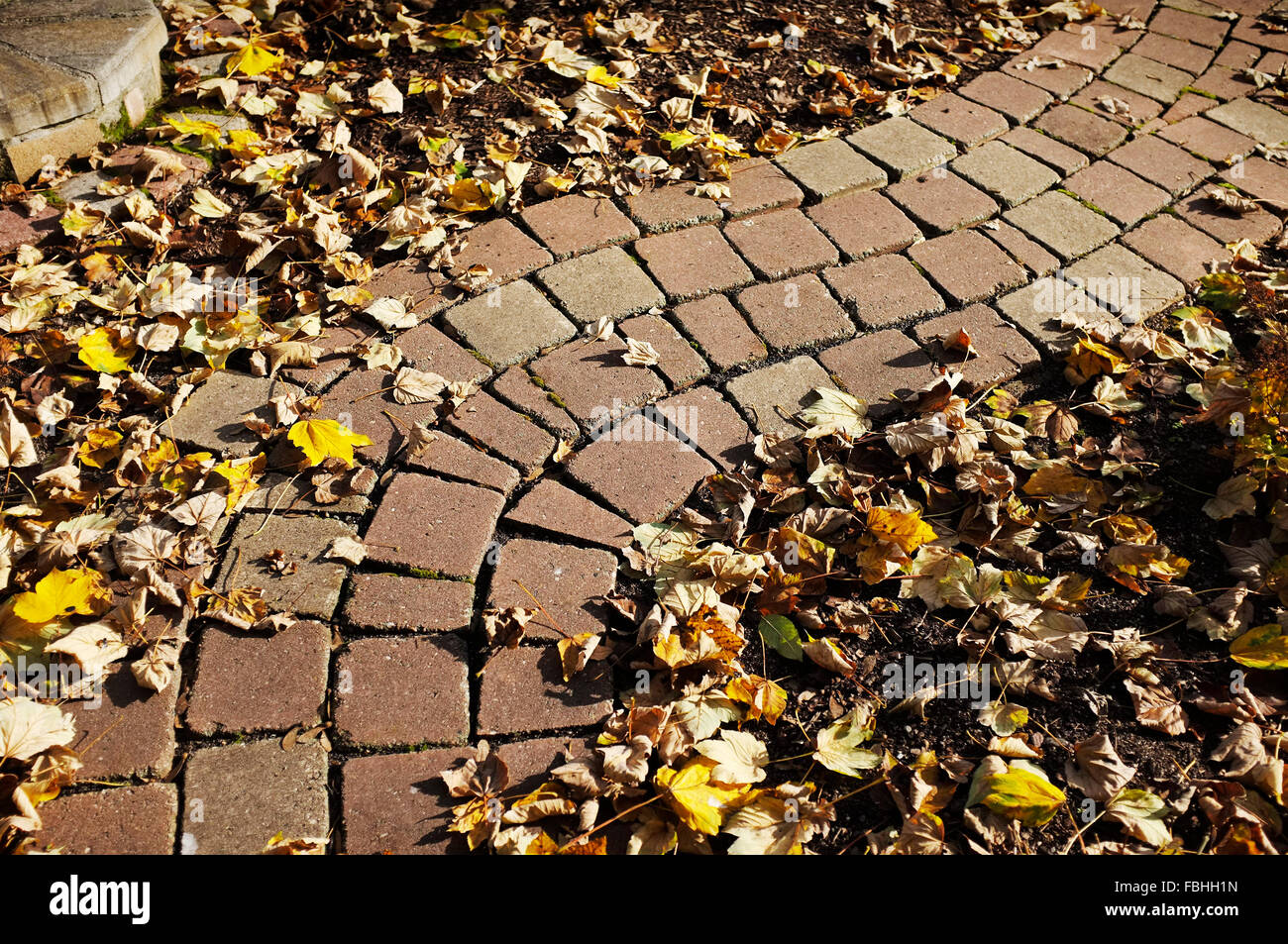 Way, paving stones, autumn foliage Stock Photo - Alamy