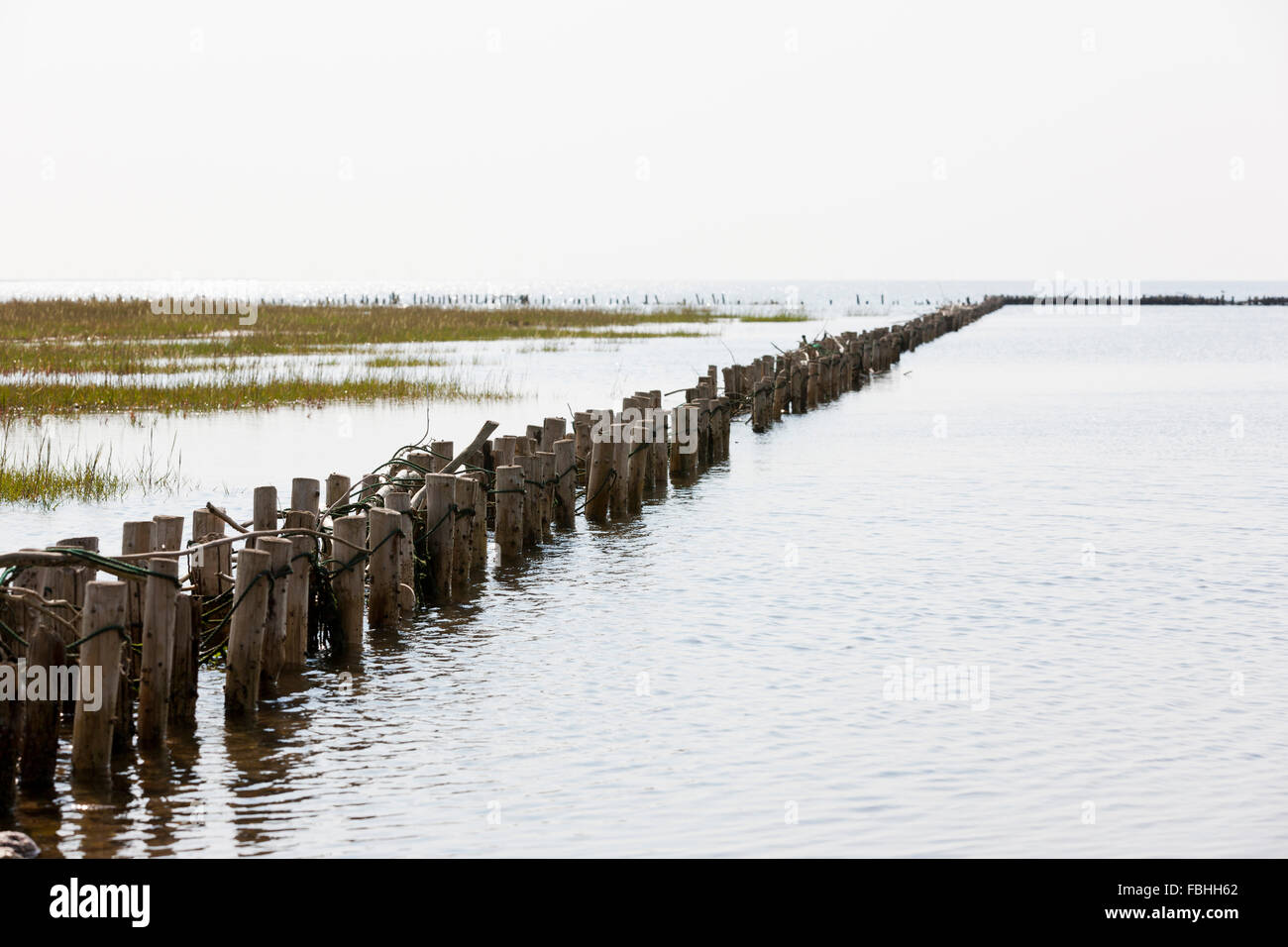 Mudflat landscape at Mandø, Denmark Stock Photo - Alamy