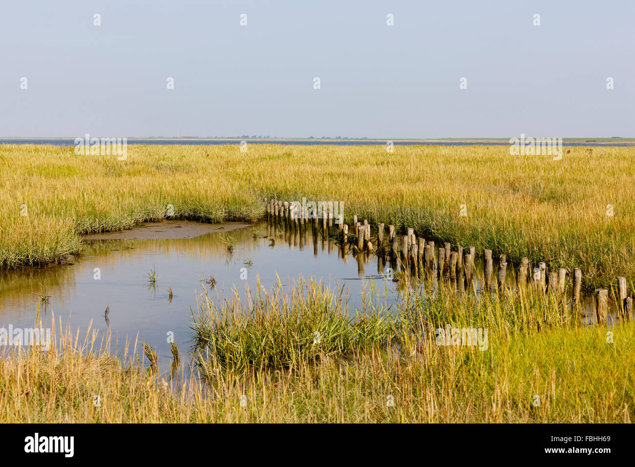 Mudflat landscape at Mandø, Denmark Stock Photo - Alamy