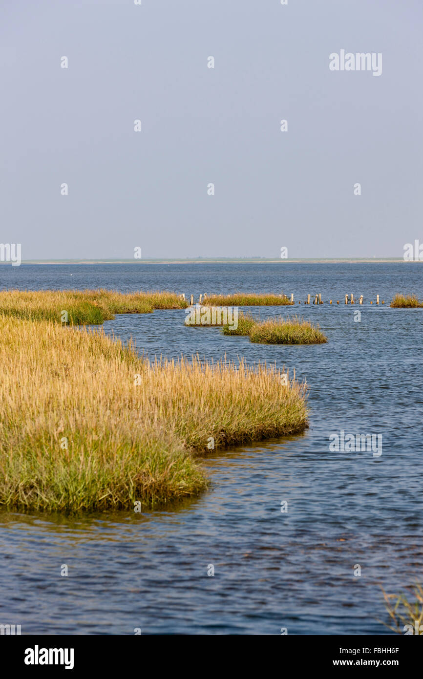 Mudflat landscape at Mandø, Denmark Stock Photo - Alamy