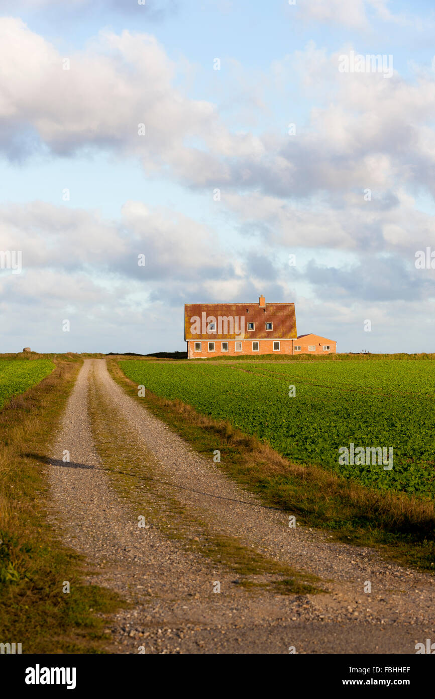 Way to the farmhouse, Jutland, Denmark Stock Photo - Alamy