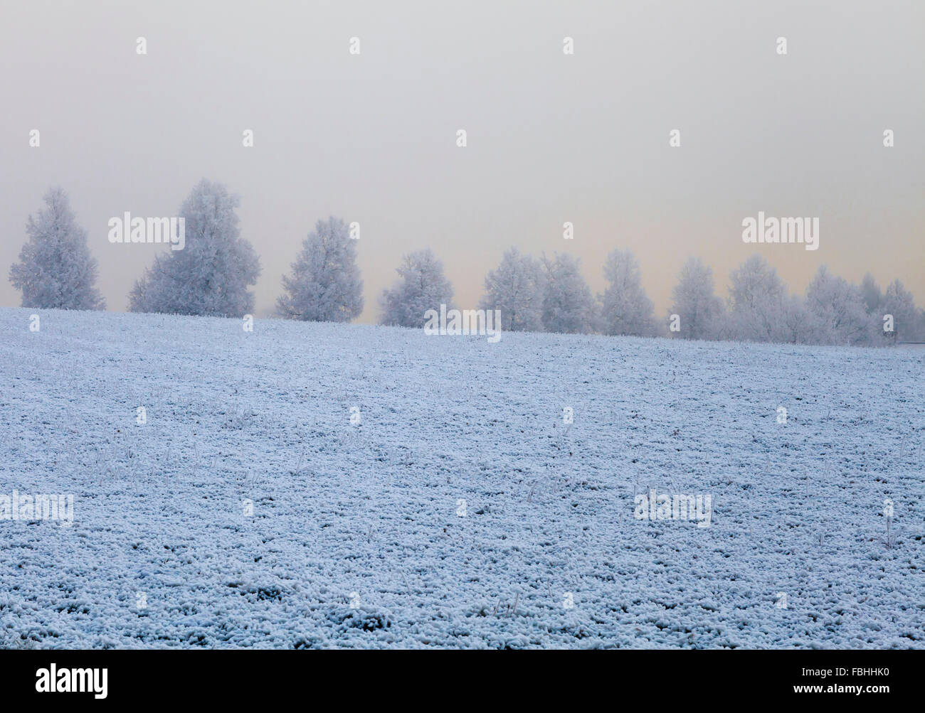Cold, hoarfrost, landscape in Carinthia Stock Photo - Alamy