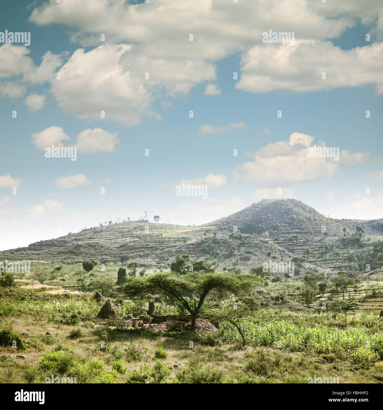 Konso ethiopia field hi-res stock photography and images - Alamy