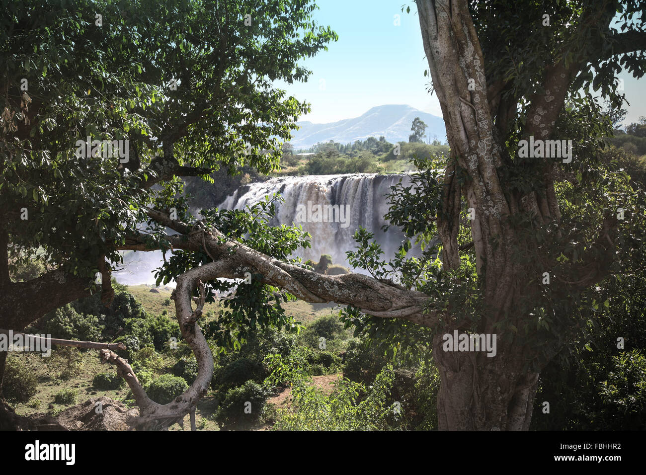 Nile waterfalls, Tis Issat, Amhara, the Blue Nile Stock Photo - Alamy